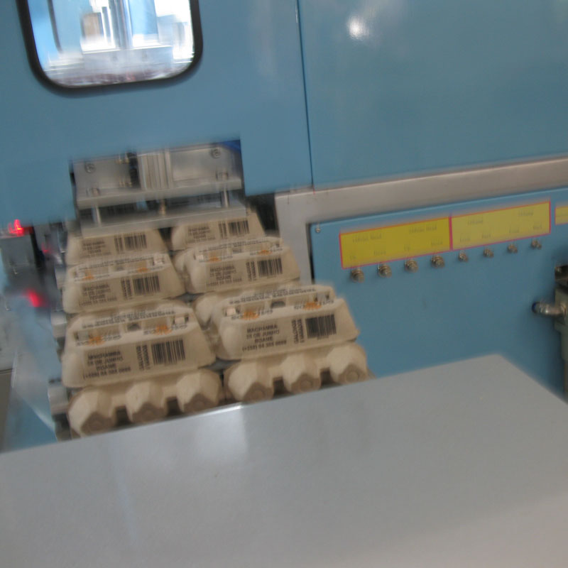 Automatic Egg Trays Pad Printing Machine_Dongguan Hengxin Printing ...
